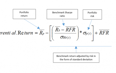 formula - differential return - standard deviation | TSG